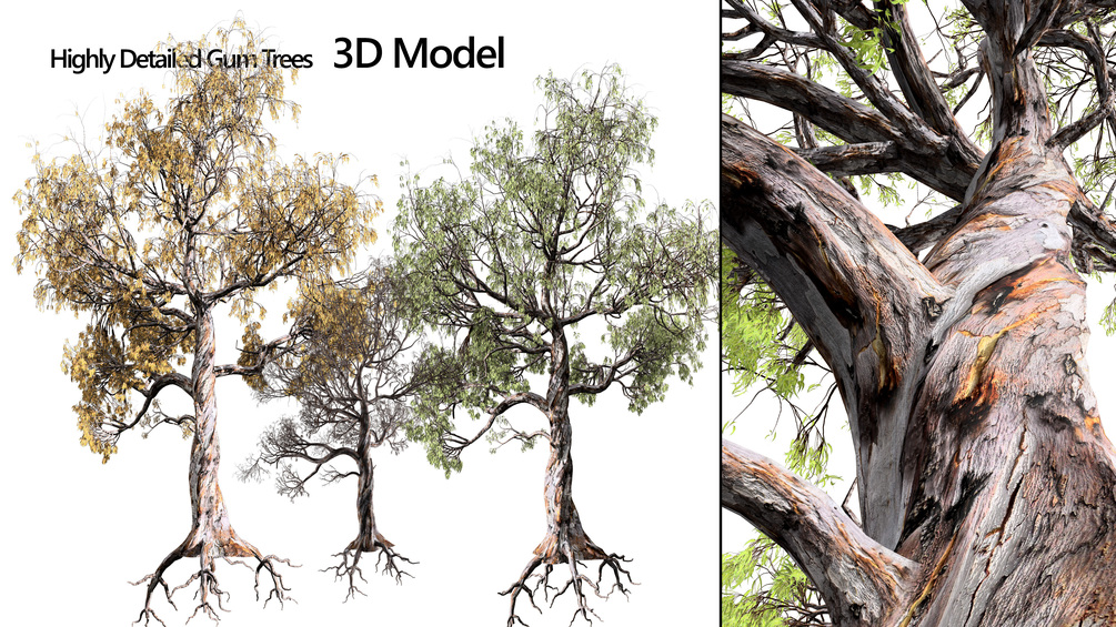 Realistic Detailed Gum Trees 3d model