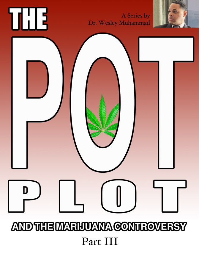 The Pot Plot Part III (Video)