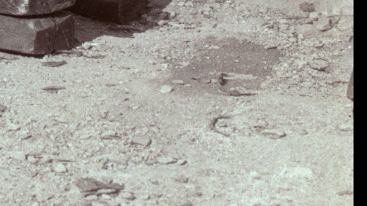 Carpenter of Nazareth by William Herman Rau