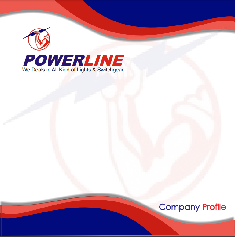 Professional Portfolio of Power Line Company