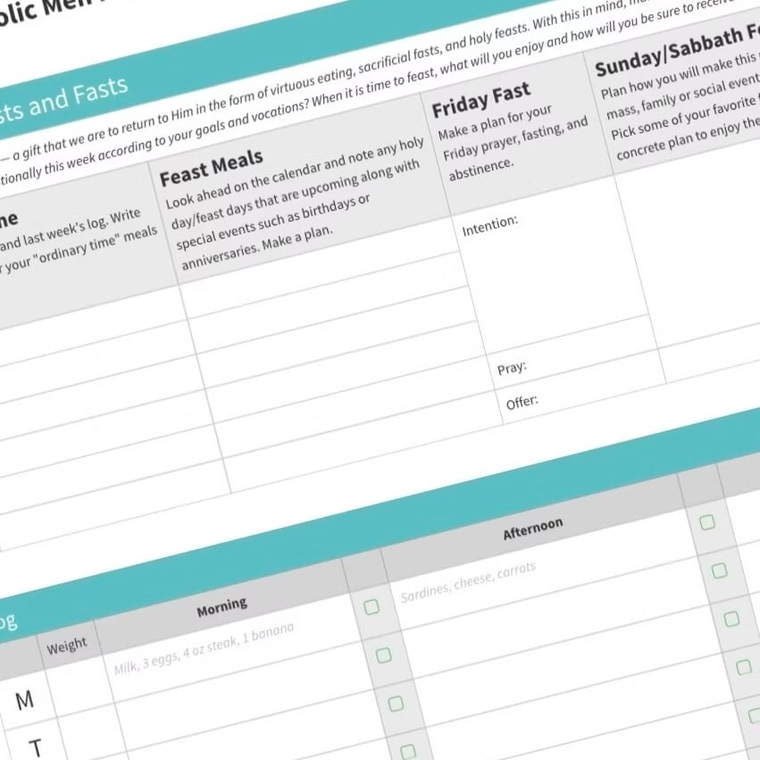 Feast/Fast Planner & Food Log