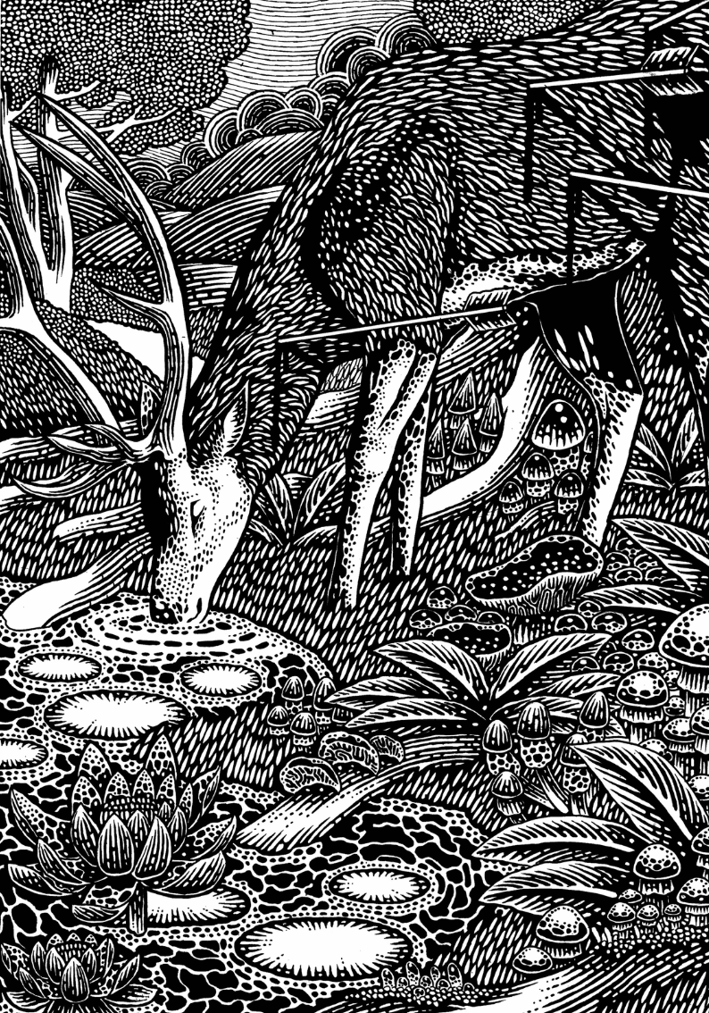 RVSA - Illustration best for Poster, T-Shirt print.