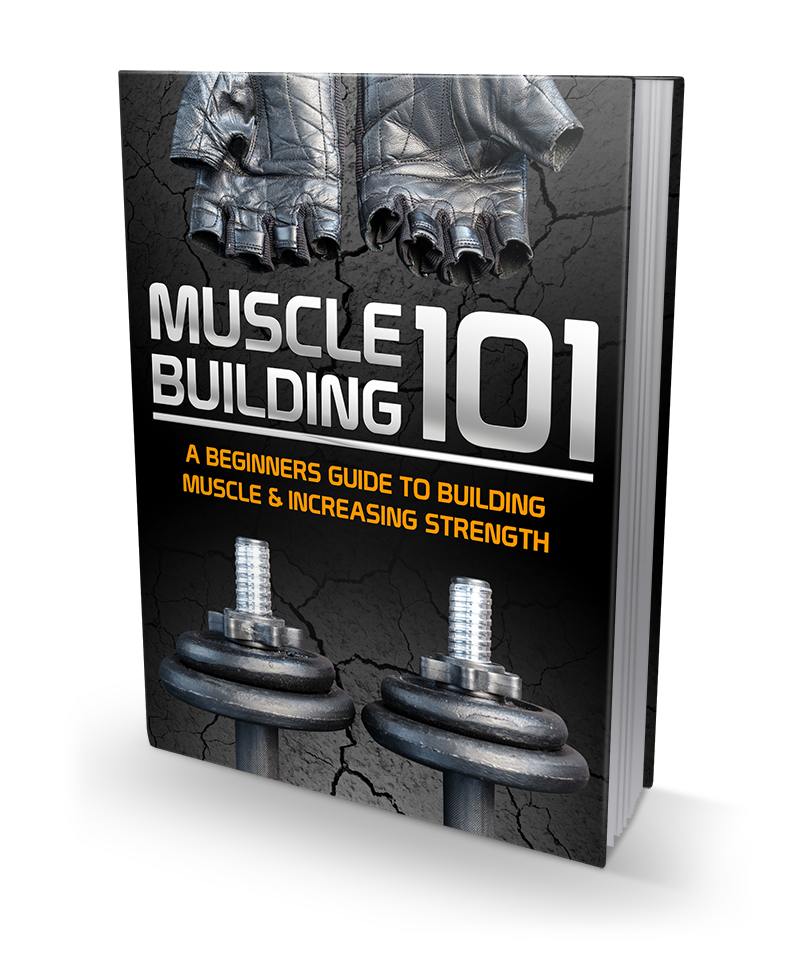 Muscle Building 101 - A beginners guide to building muscle and ...