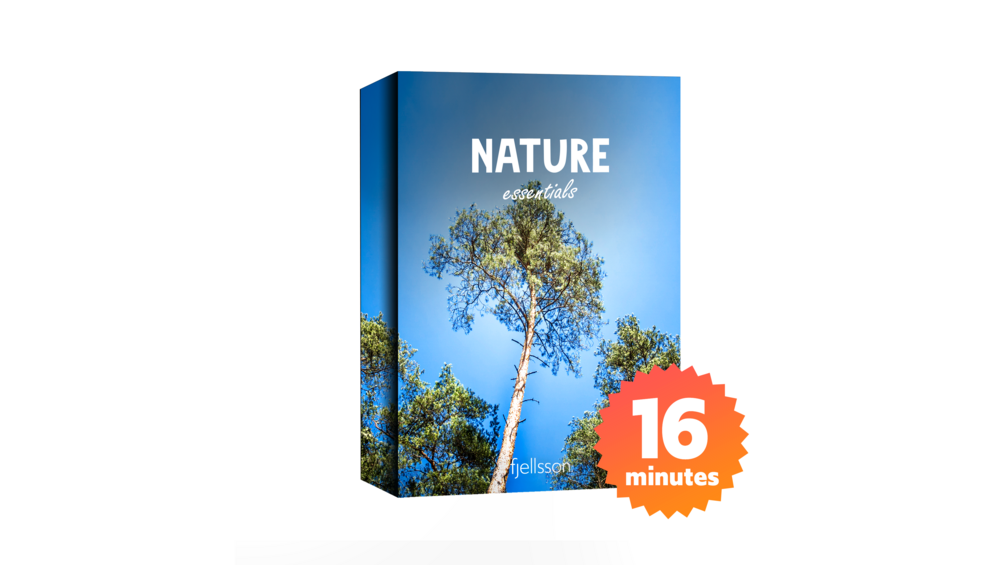 Nature Essentials SFX Pack - royalty free sound effects for commercial ...