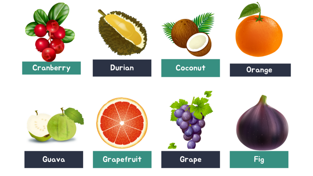 Kids' Fruit Identification Guide