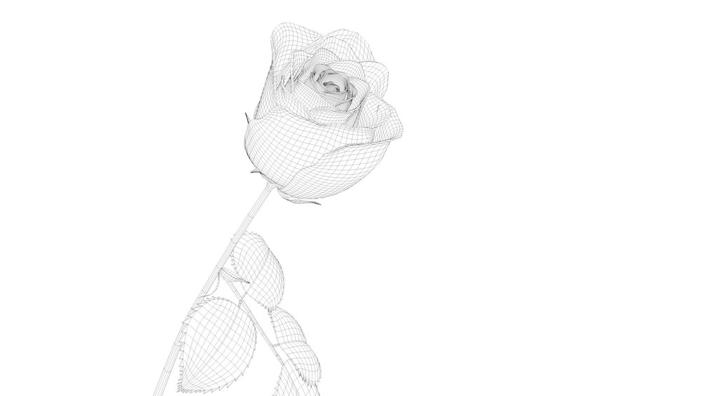 Rose Animation