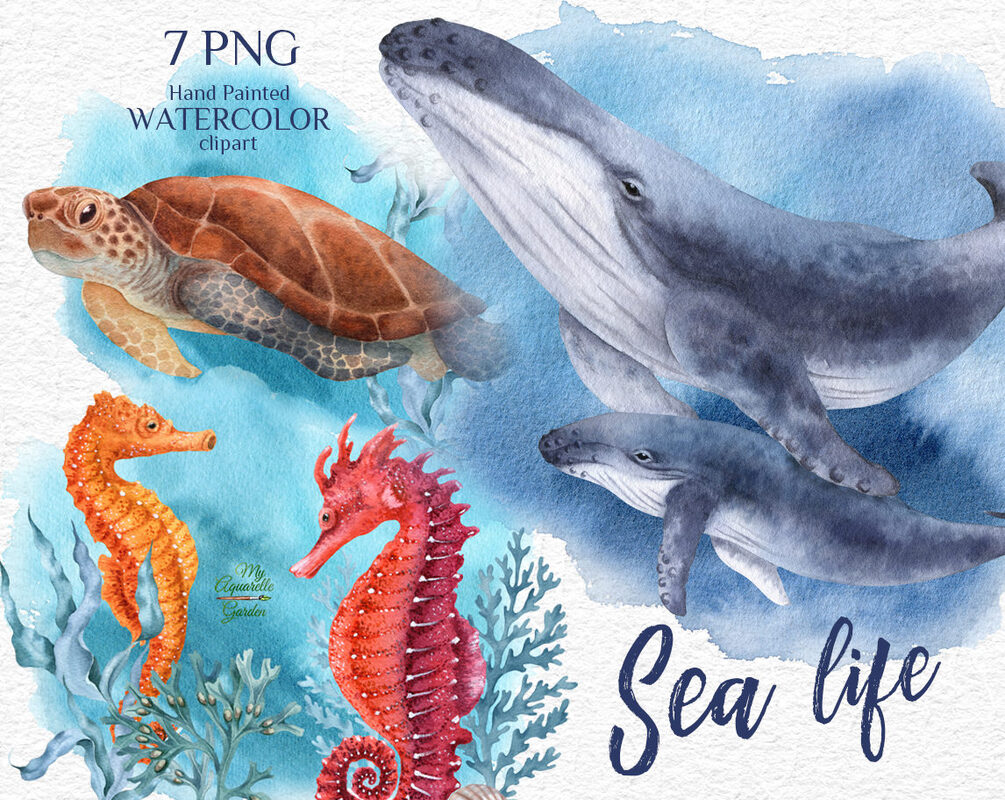 Sea creatures. Whale, crab, seahorse, sea star, turtle, octopus, pearl ...