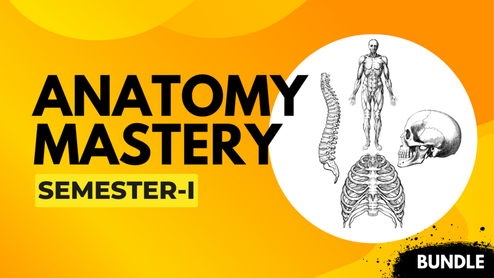 Complete Anatomy Deck Bundle | 1st Semester Mastery with High-Yield ...