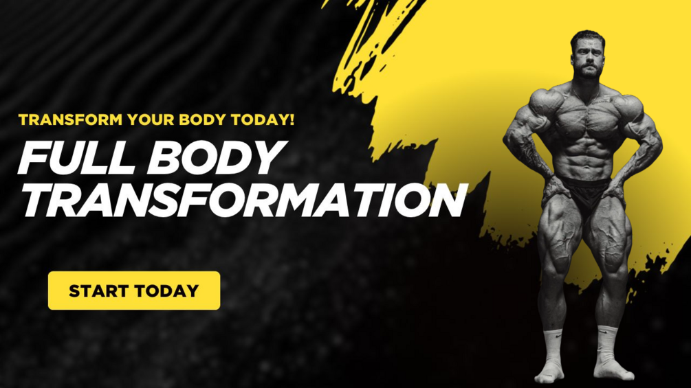 FULL BODY TRANSFORMATION GUIDE FOR BEGINNERS