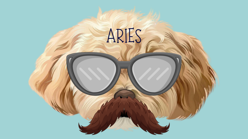 ARIES: Go For It! - Extended