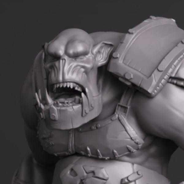 Warhammer Ork War Party