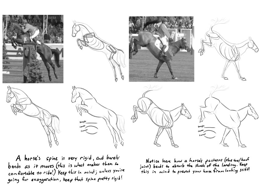 Heather L. Gilbraith's Horse Drawing Workshop - Notes and References ...