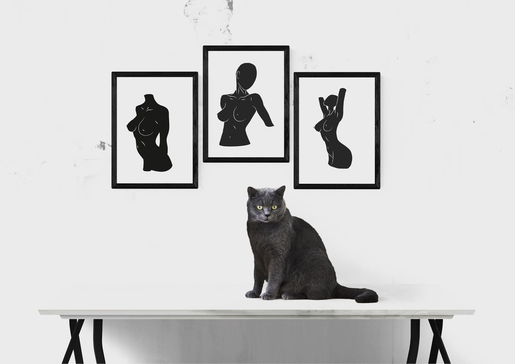 girl body art poster 18+