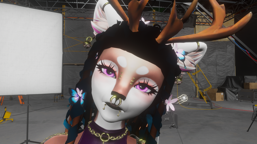 ZinDeer