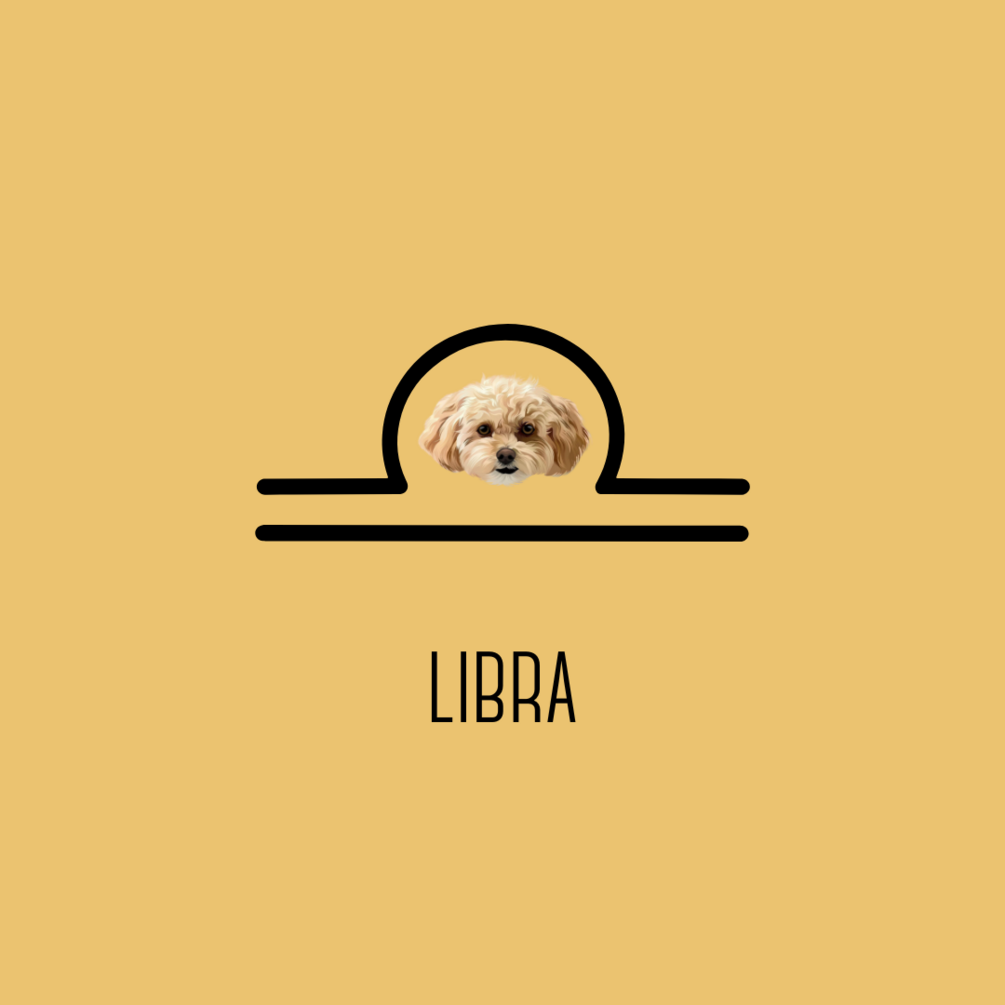 LIBRA: Red Flags Everywhere! - DEEP DIVE