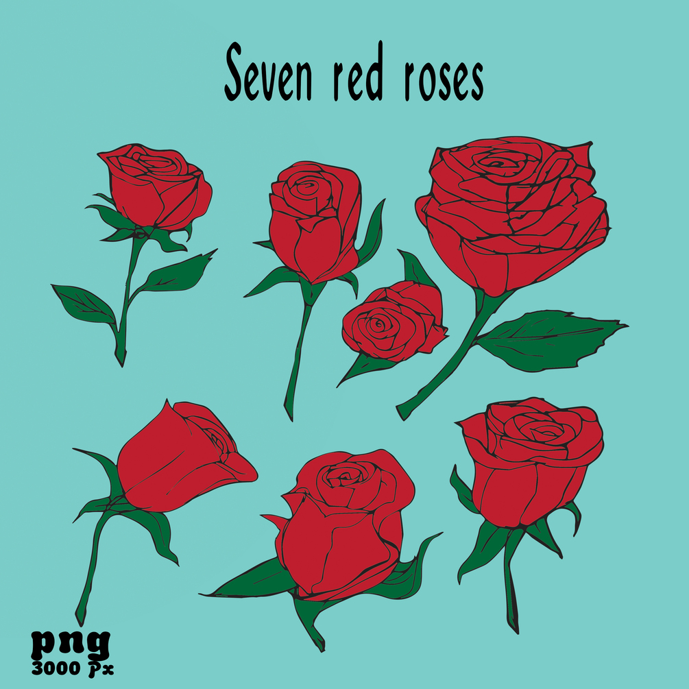 seven red roses