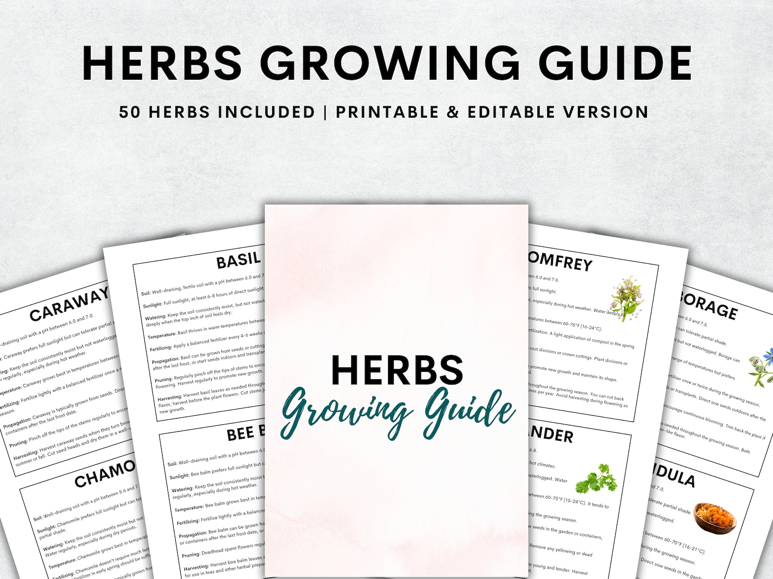 Herbs Growing Guide, 50 Printable Herbs Guide, Gardening Planner Digital