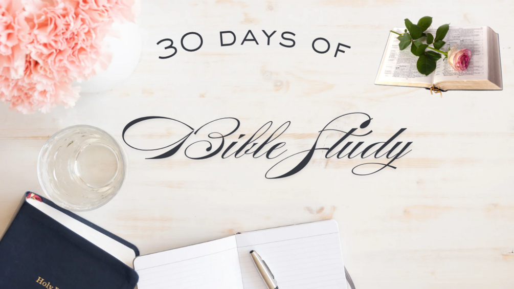 30 days of Bible Study Journal