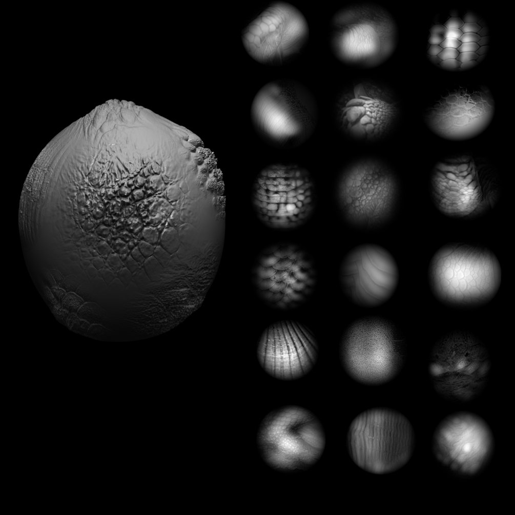 Seafood Zbrush alphas