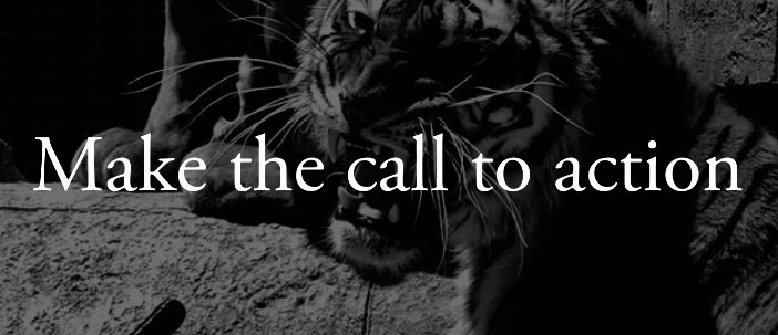 Consultation style call (1 hour)