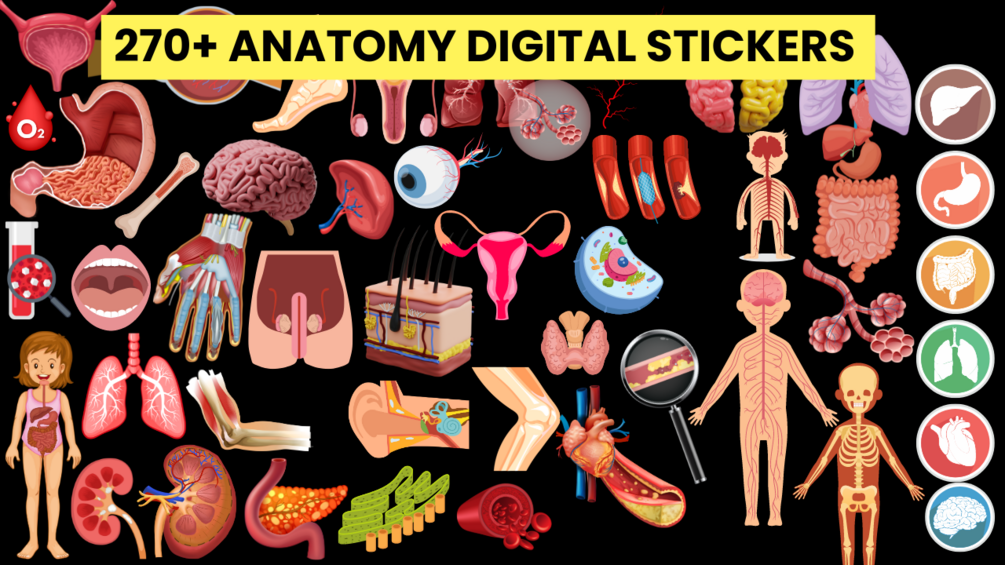 270+ Human Anatomy Stickers | Notes Stickers For Medical Students