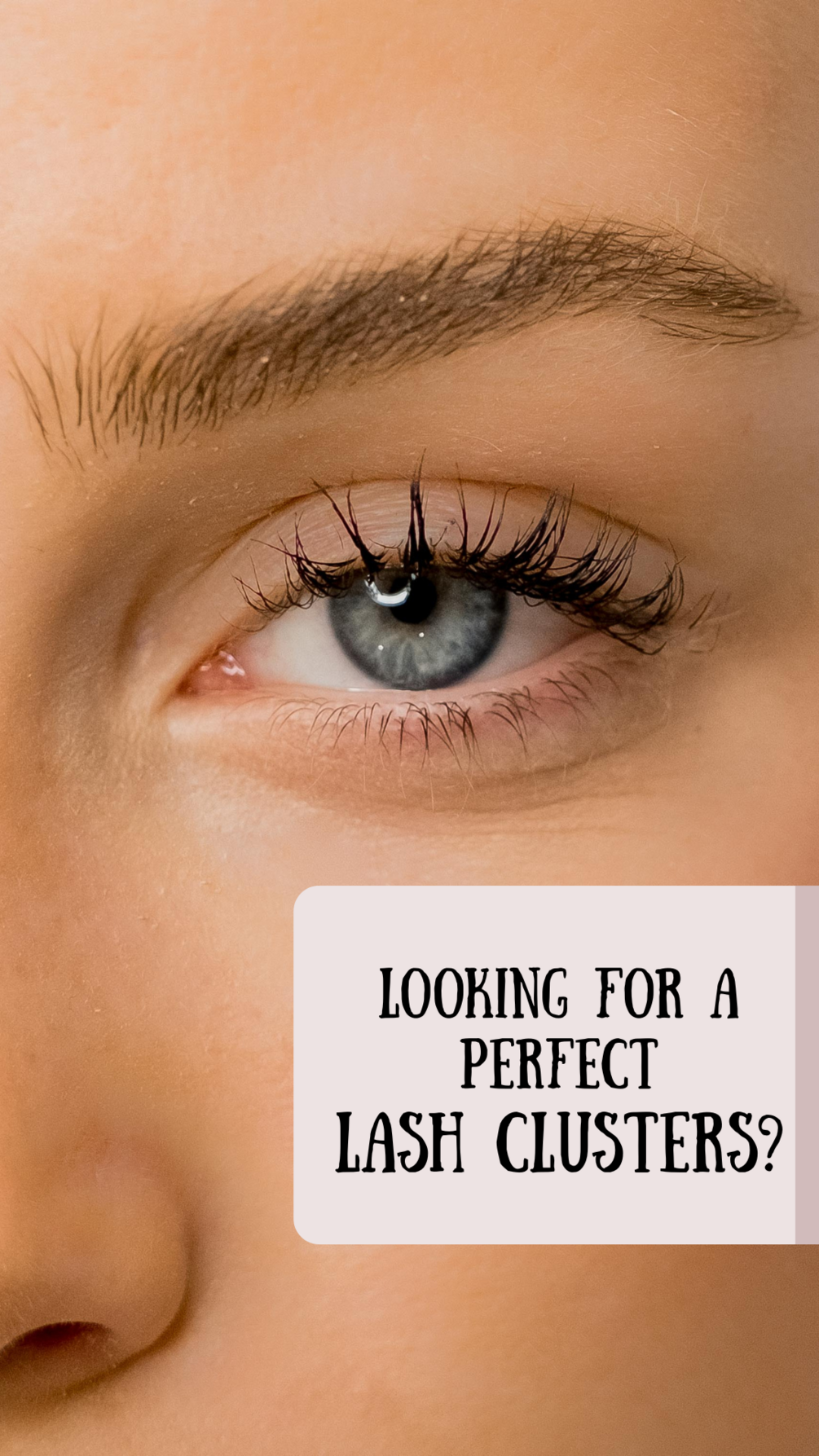 Lash Clusters