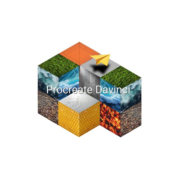 Procreate davinci