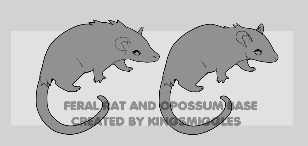Rat/Opossum Base