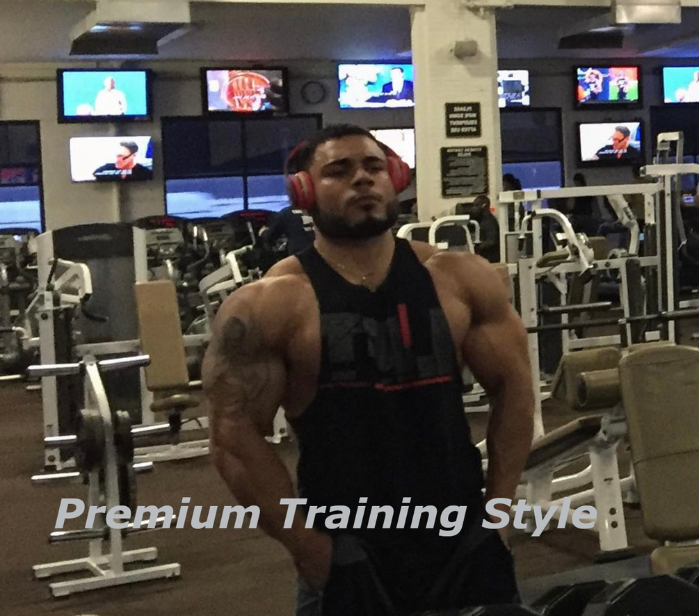 Premium Training Style
