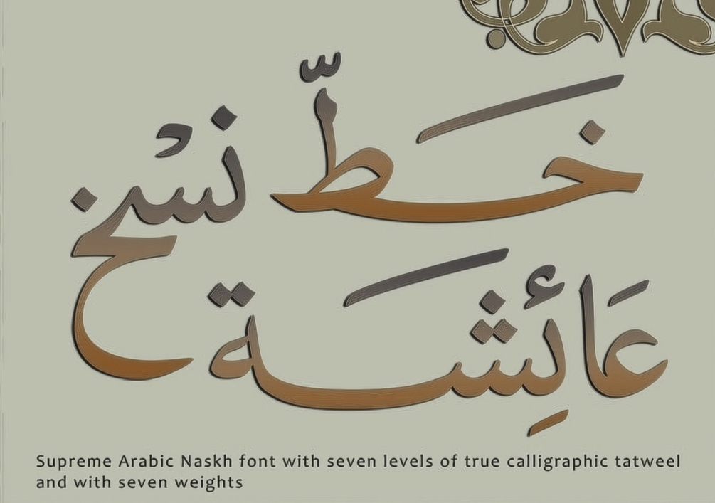 Ayesha Naskh Font Family (A set of 7 fonts)