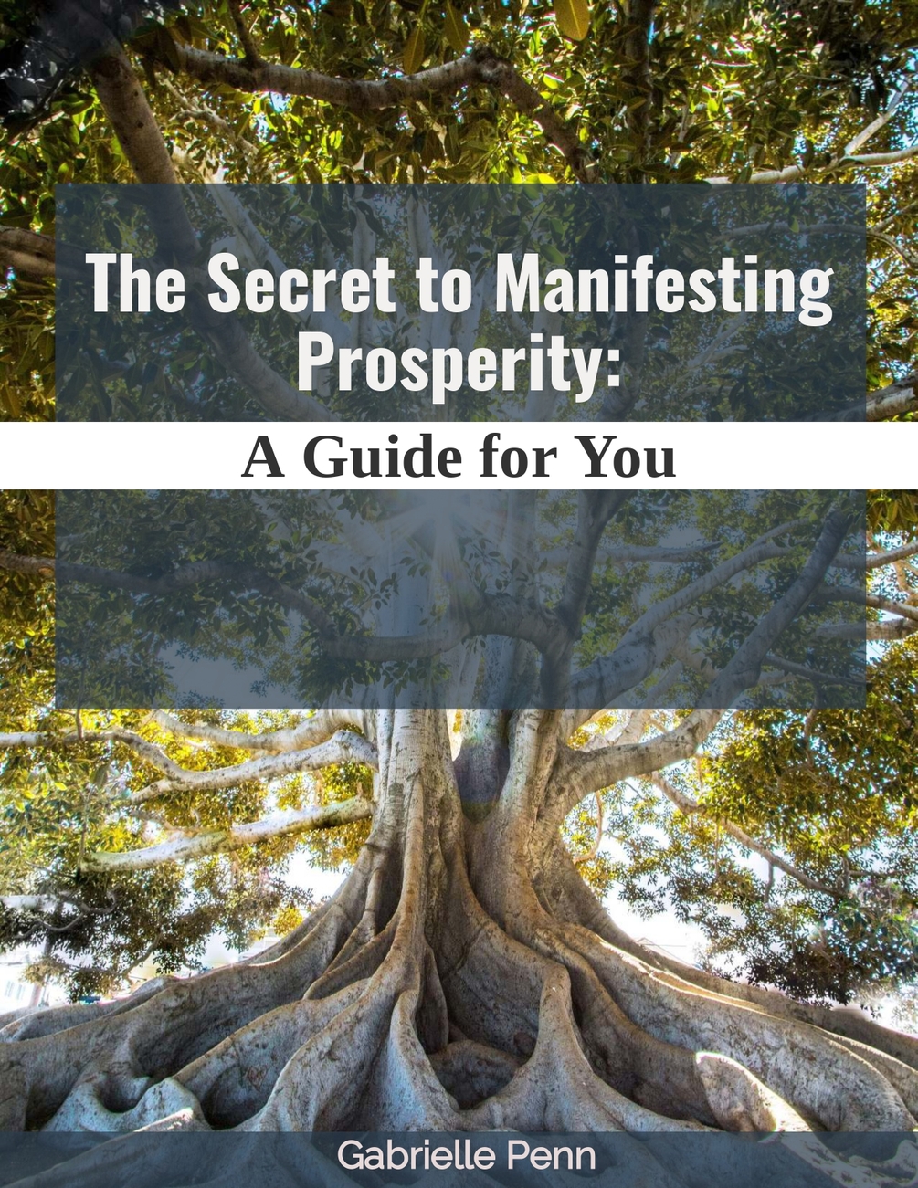The Secret to Manifesting Prosperity: A Guide for You