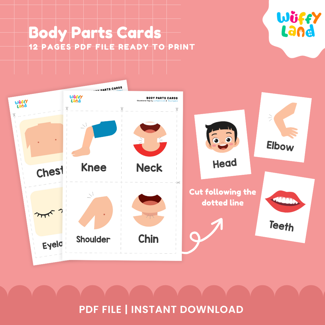 Body Parts Cards, Flashcard Body Part, Printable Montessori, Image ...