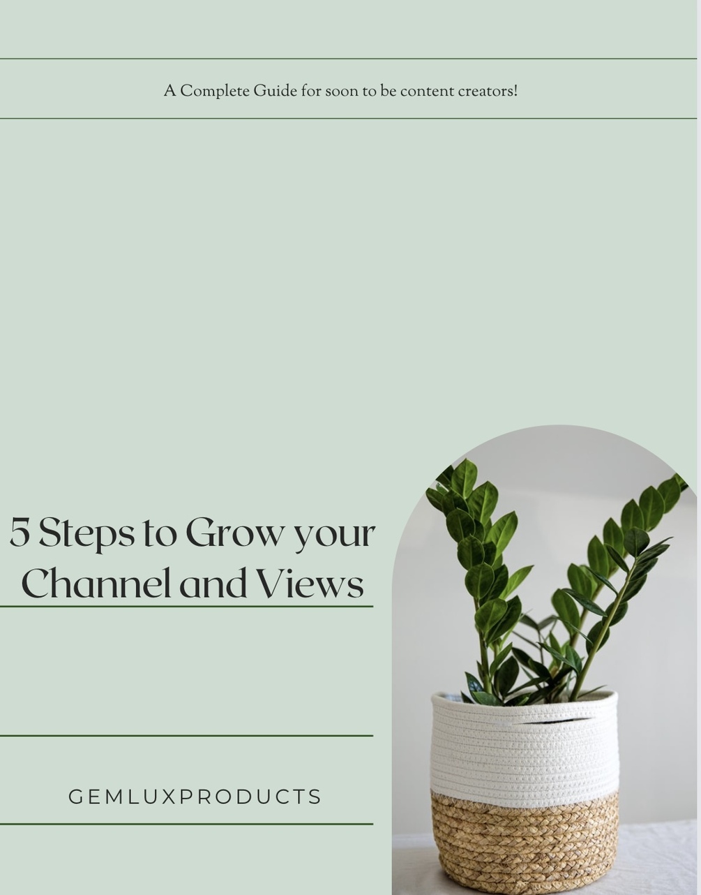 5 Steps to Grow your Channel and Views ebook