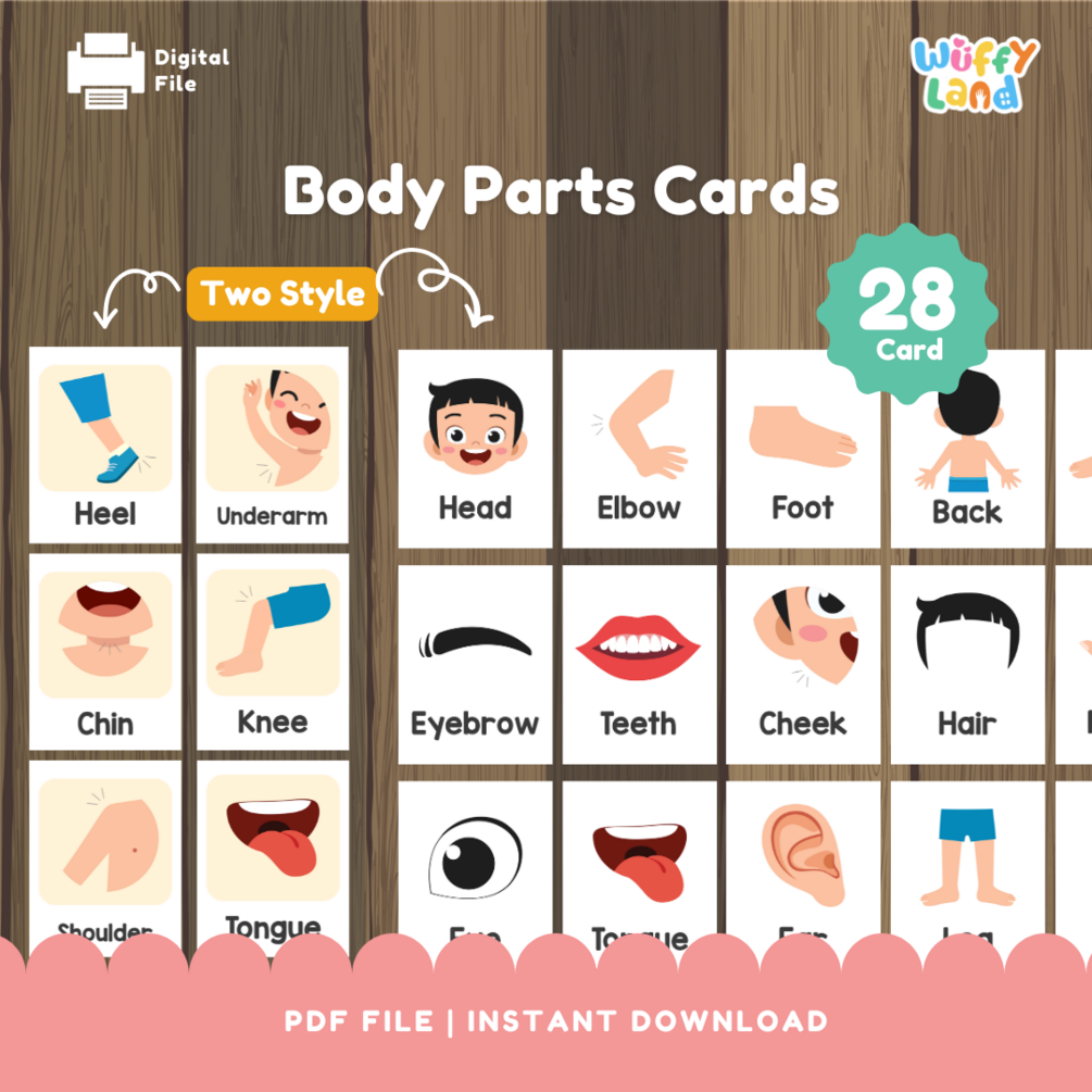 Body Parts Cards, Flashcard Body Part, Printable Montessori, Image ...