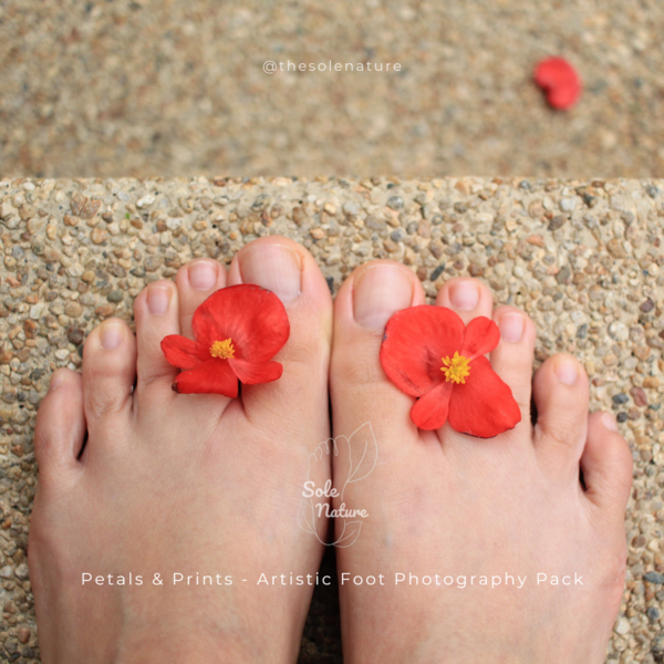 Sole nature