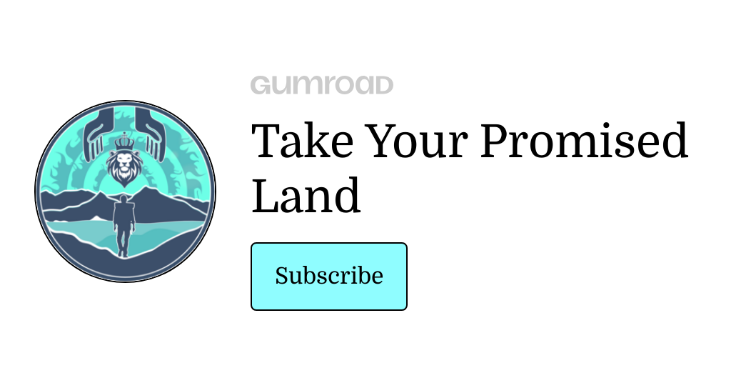 Take Your Promised Land