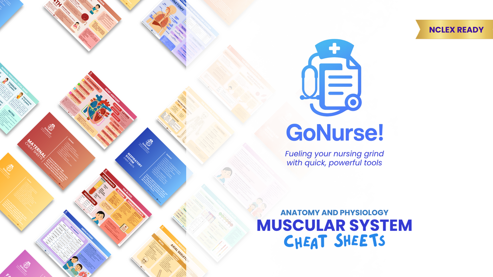 GoNurse! Muscular System Cheat Sheets - High Yield