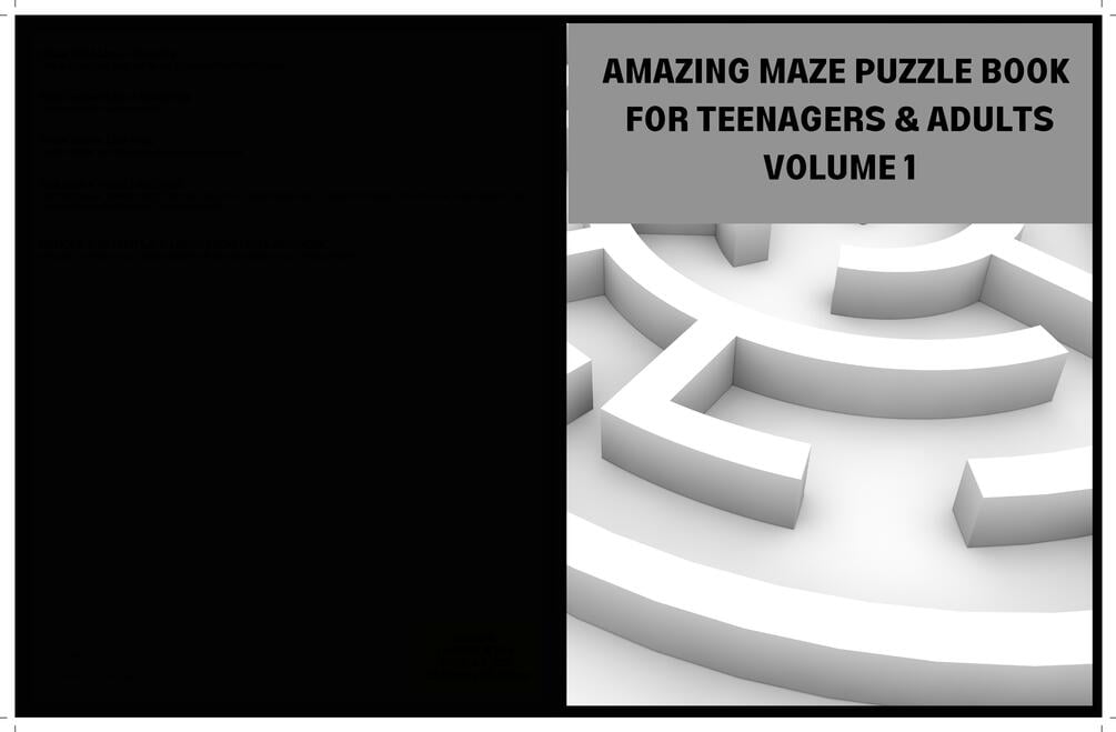 AMAZING MAZE PUZZLE BOOK FOR TEENAGERS & ADULTS VOLUME 1