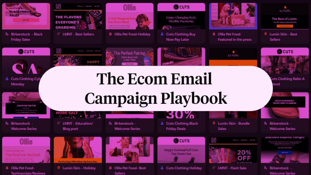 The Ecom Email Campaign Playbook