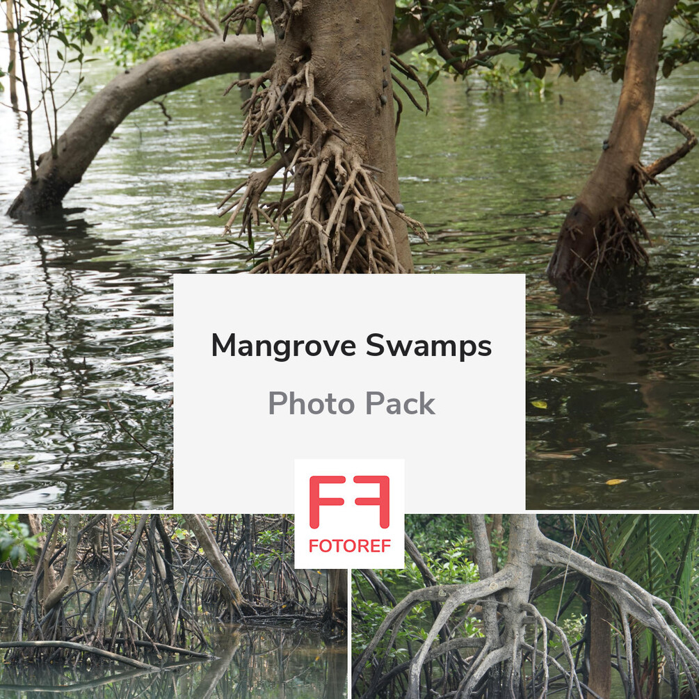 676 photos of Mangrove Swamps