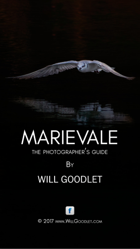 Marievale - the Photographer's Guide