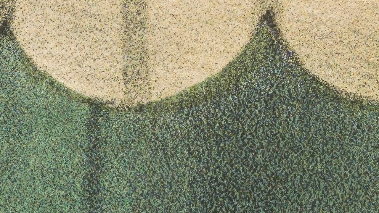 Caroline by N. Currier