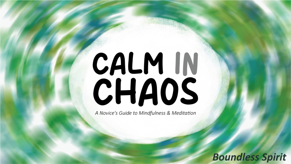 Calm in Chaos: A Novice's Guide to Mindfulness and Meditation - by ...