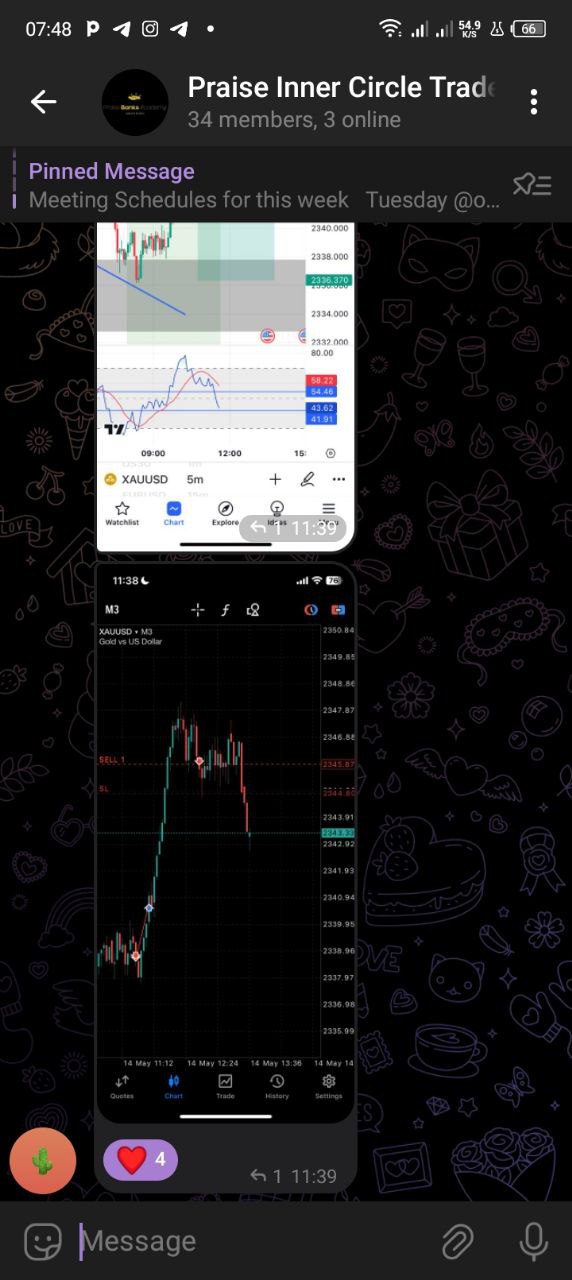 Praise Banks forex Mentorship