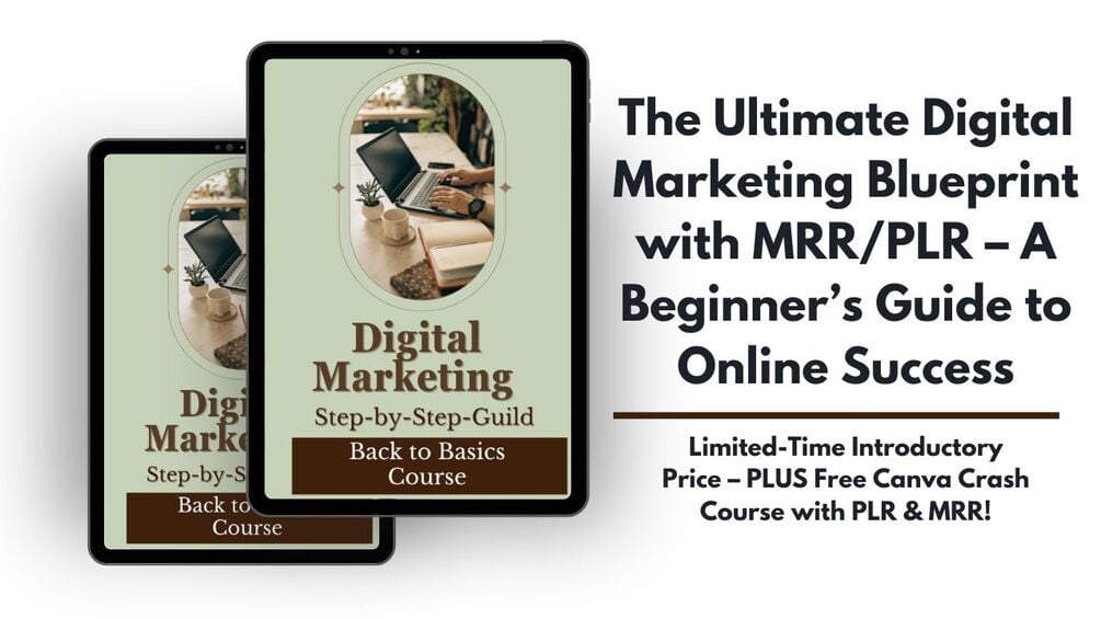 Back to Basics Course with MRR & PLR |Digital Marketing 101: A Beginner ...