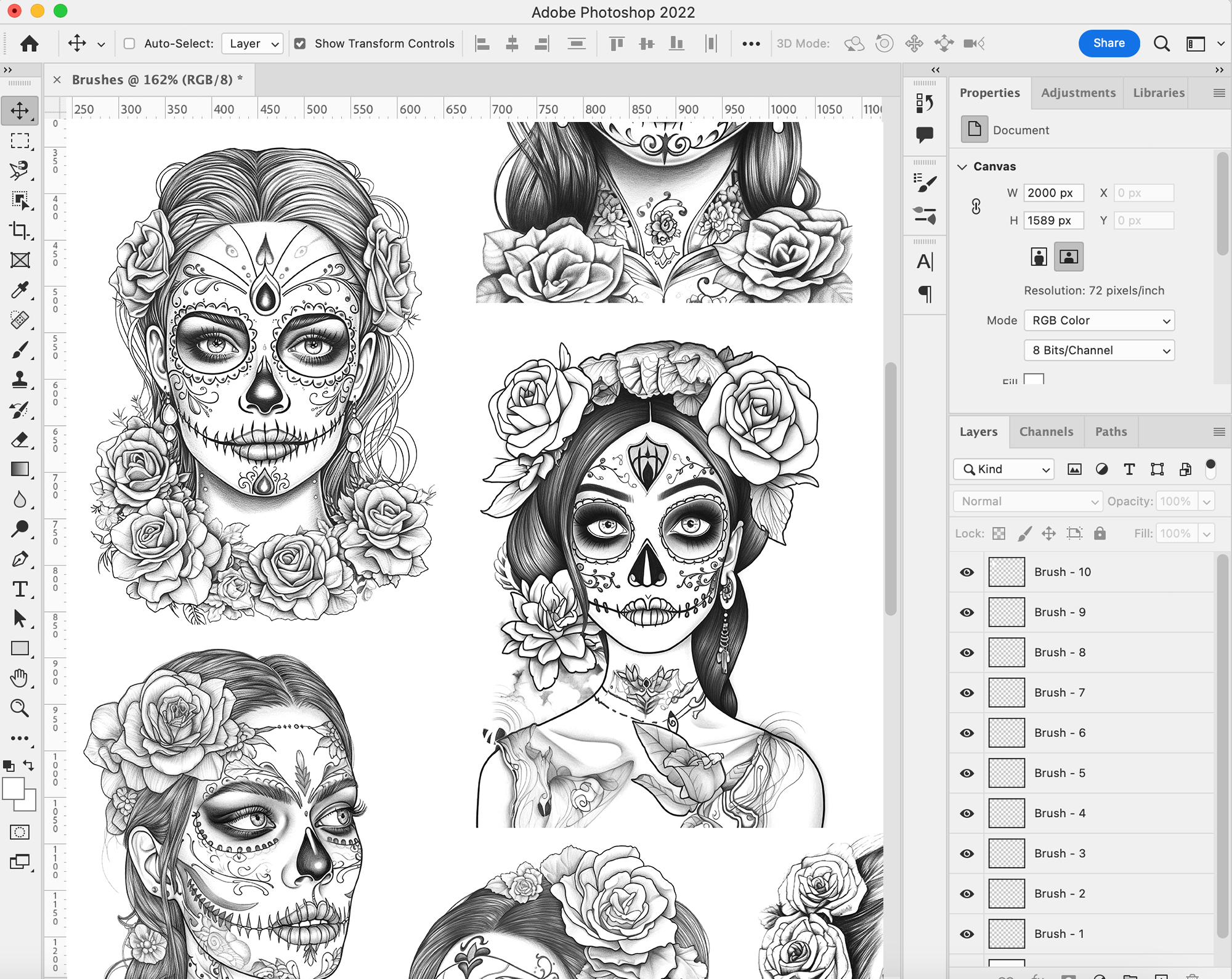 25 Day of the Dead Brushes Collection for Procreate and Photoshop