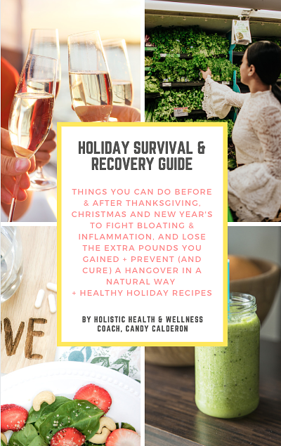 Holiday Survival & Recovery Guide 2021