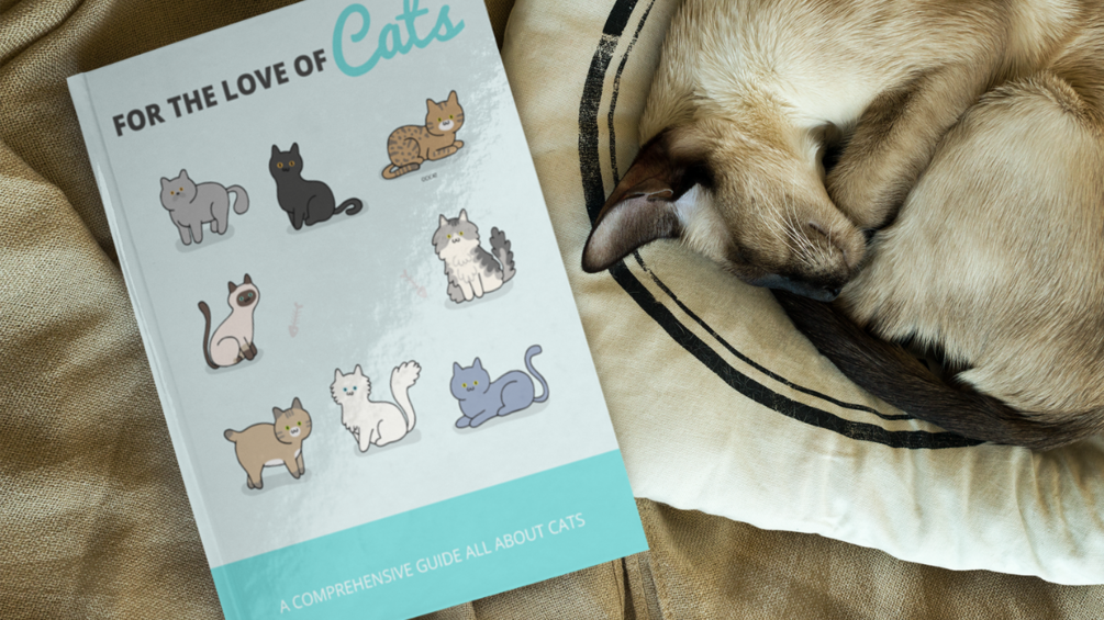 For The Love Of Cats