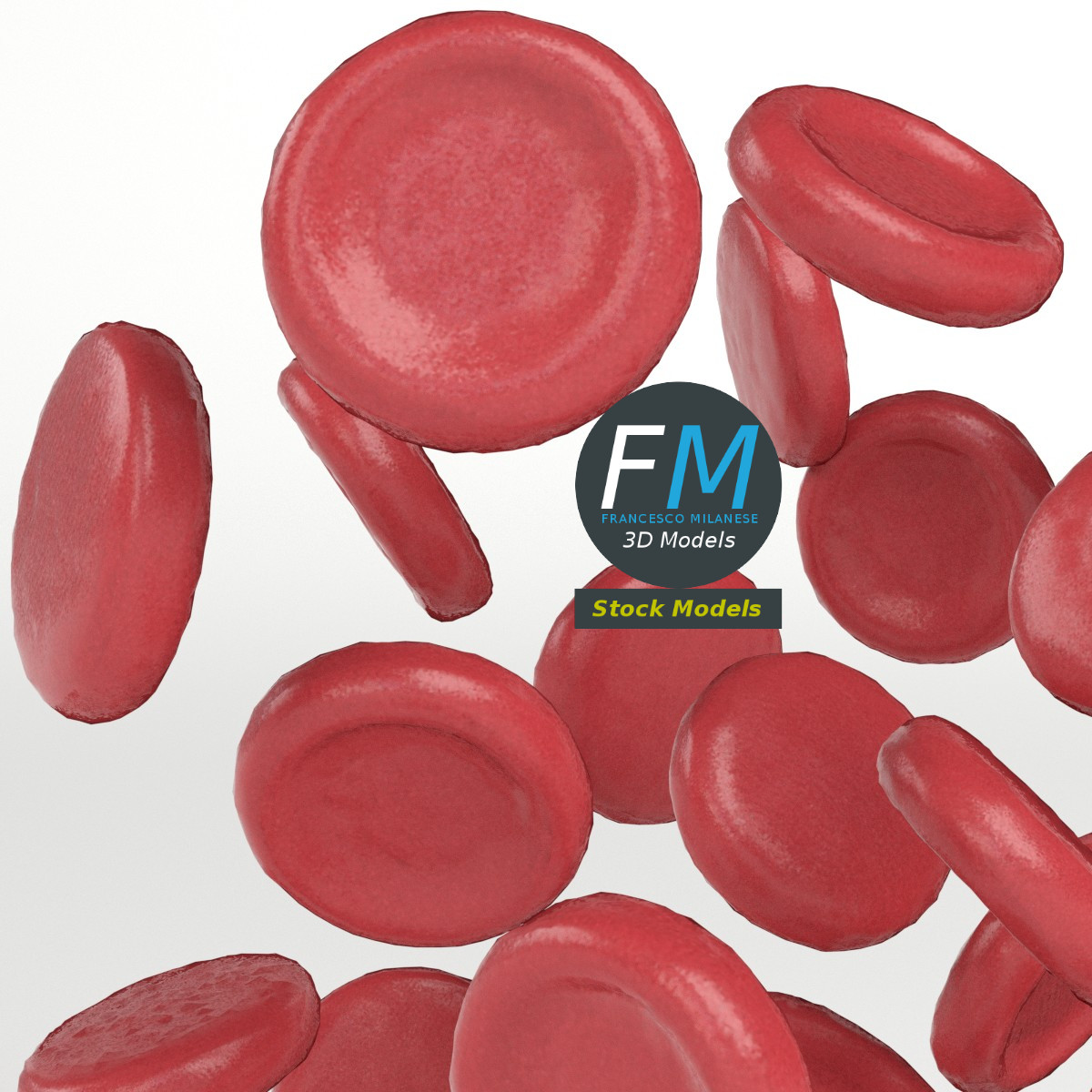 3D MODEL - Red blood cells