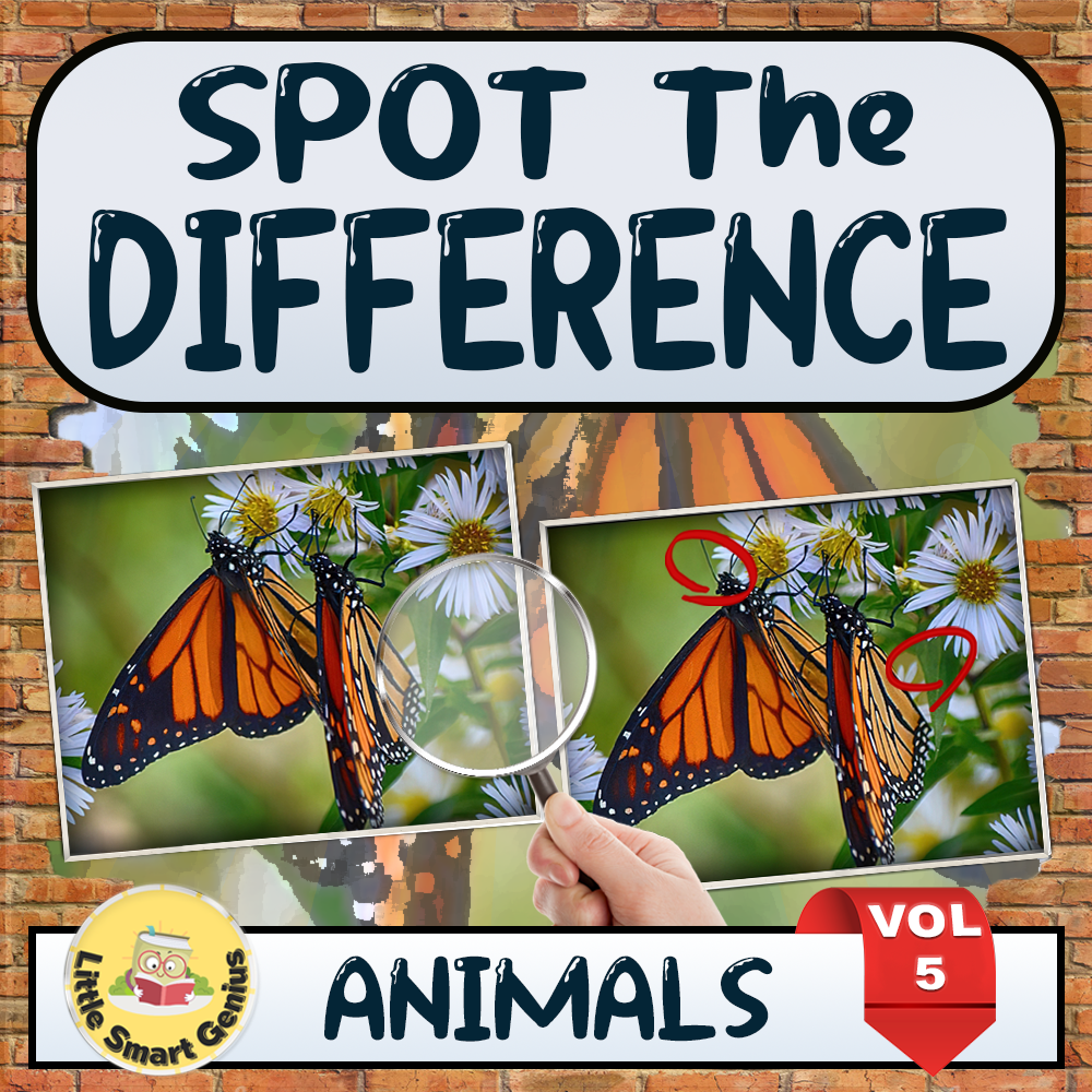 Spot the Difference | Picture Puzzle Visual Perception Activity ...